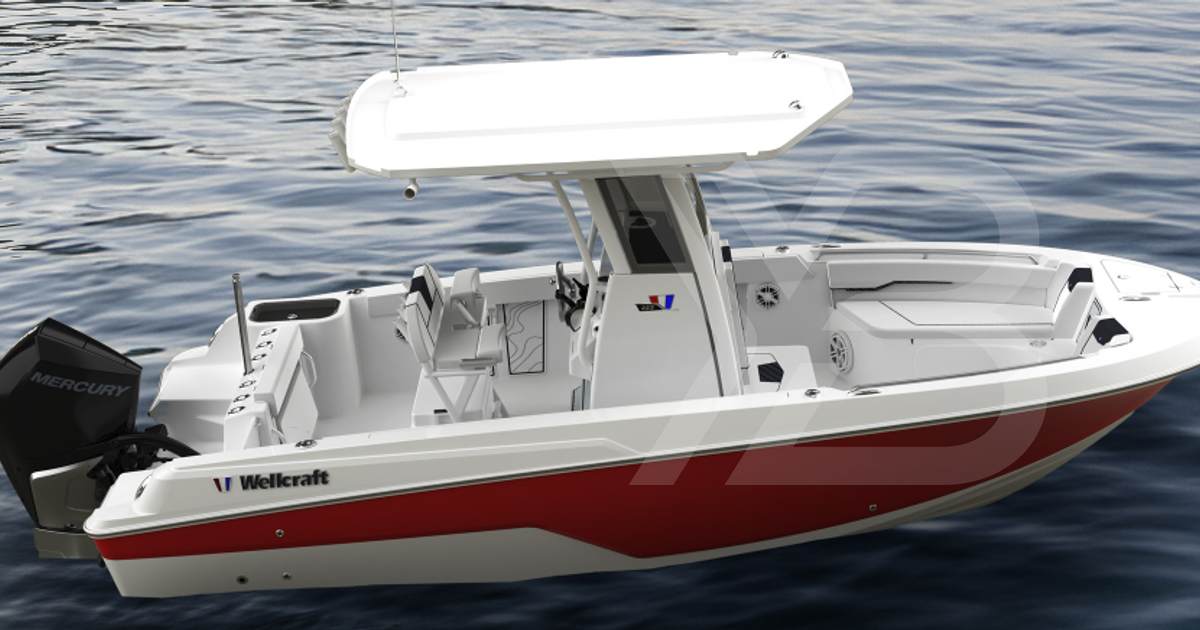 Wellcraft 223 Fisherman Boat