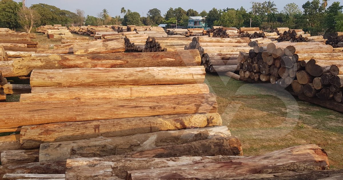 Sunseeker Fined Over Use of Illegal Myanmar Teak | YachtBuyer