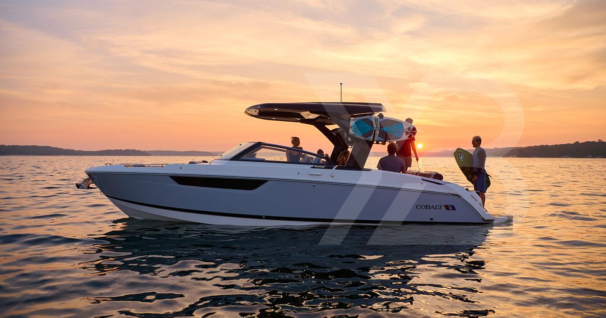 Cobalt R31 Surf Yacht | YachtBuyer