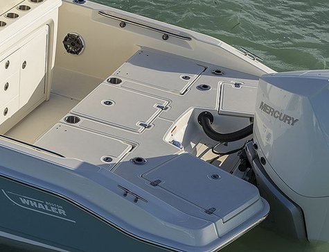 Boston Whaler 250 Dauntless Boat