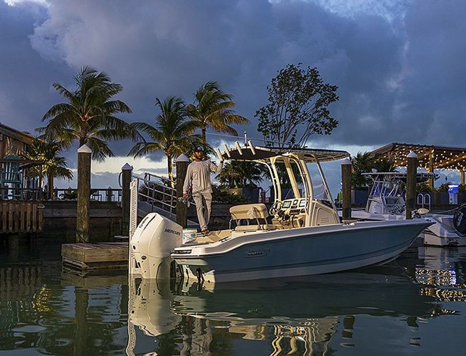 Boston Whaler 220 Dauntless Boat