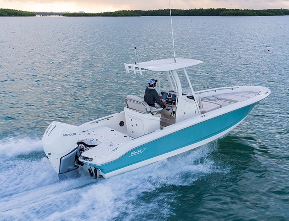 Boston Whaler 250 Dauntless Boat