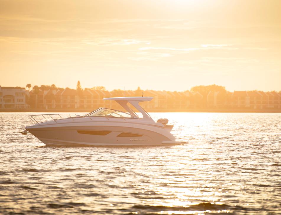 Regal 33 Express Boat